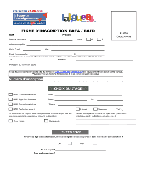 Remplissable En Ligne Remplissable FICHE D'INSCRIPTION BAFA / BAFD Fax ...