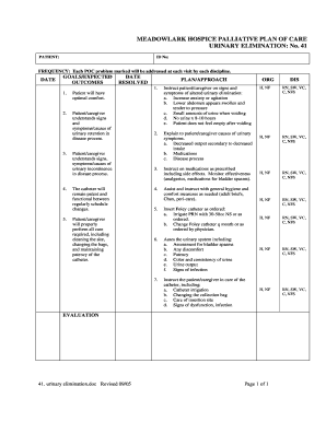 Fillable Online MEADOWLARK HOSPICE PALLIATIVE PLAN OF CARE Fax Email ...