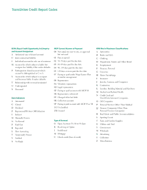 Fillable Online TransUnion Credit Report Codes Fax Email Print - pdfFiller