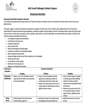 Fillable Online NAE Grand Challenges Scholars Program Fax Email Print ...