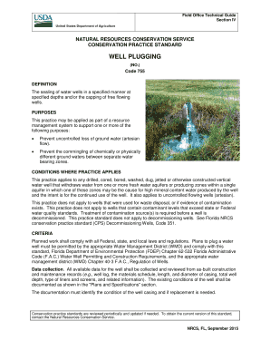 Fillable Online WELL PLUGGING Fax Email Print - pdfFiller