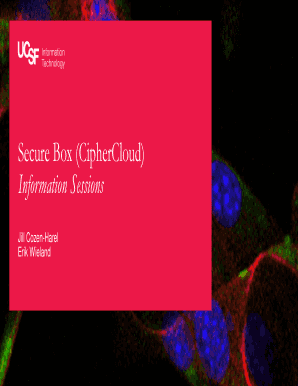 Fillable Online Secure Box (CipherCloud) Fax Email Print - pdfFiller