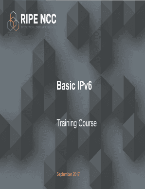 Fillable Online Basic IPv6 Fax Email Print - pdfFiller