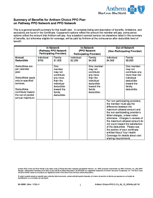 Fillable Online Summary of Benefits for Anthem Choice PPO Plan Fax ...