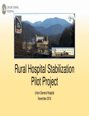 Fillable Online Sample Letter of Support - STEP-TN Fax Email Print ...