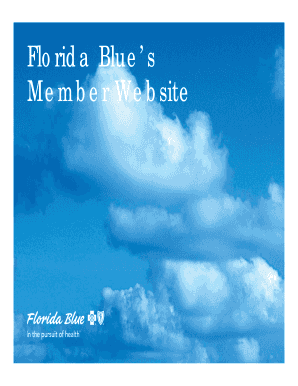 Fillable Online Florida Blues Fax Email Print - pdfFiller