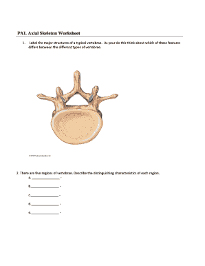Fillable Online PAL Axial Skeleton Worksheet Fax Email Print - pdfFiller