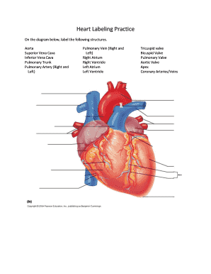 Fillable Online Heart Labeling Practice Fax Email Print - pdfFiller