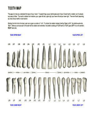 Fillable Online PRINTABLE CHART OF TEETH Fax Email Print - pdfFiller