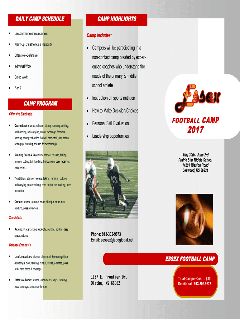 Fillable Online Lesson/Theme/Announcement Fax Email Print - pdfFiller