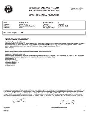 Fillable Online PROVIDER INSPECTION FORM Fax Email Print - pdfFiller