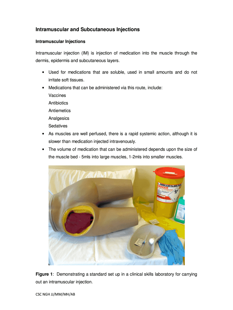 Fillable Online Intramuscular and Subcutaneous Injections Fax Email ...