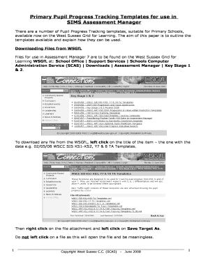 Fillable Online Primary Pupil Progress Tracking Templates for use in ...