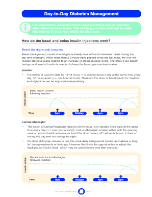 Fillable Online It is important to understand how basal and bolus ...