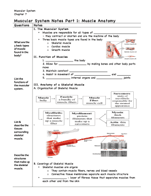 Fillable Online Muscular System Notes Part 1: Muscle Anatomy Fax Email ...
