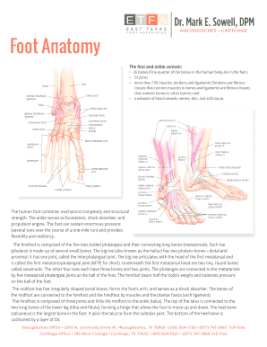 Fillable Online Foot Anatomy Fax Email Print - pdfFiller