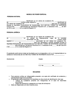 Fillable Online MODELO DE PODER ESPECIAL Fax Email Print - pdfFiller