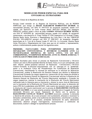 Fillable Online MODELO DE PODER ESPECIAL PARA SER Fax Email Print ...
