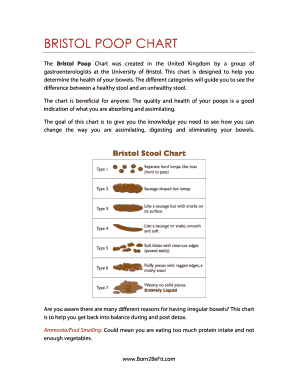 Fillable Online BRISTOL POOP CHART Fax Email Print - pdfFiller