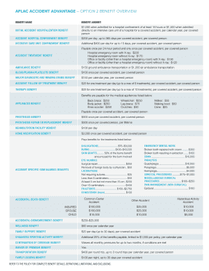 Fillable Online AFLAC ACCIDENT ADVANTAGE OPTION 2 BENEFIT OVERVIEW Fax Email Print - pdfFiller