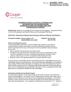 Fillable Online IRB NUMBER: 15-028EX Fax Email Print - pdfFiller