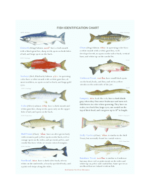 Fillable Online FISH IDENTIFICATION CHART Fax Email Print - pdfFiller