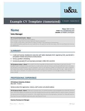Fillable Online Example CV Template (Annotated) Fax Email Print - pdfFiller