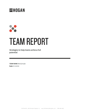 Fillable Online Hogan Team Report Sample. Hogan Team Report Sample Fax ...