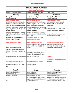 Fillable Online MICRO-CYCLE PLANNER Fax Email Print - pdfFiller