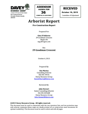 Fillable Online Pre-Construction Report Fax Email Print - pdfFiller