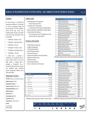Fillable Online (BTS) Air Carrier Statistics (Form 41 Traffic) Fax ...