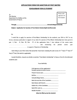 Sanction Application - Fill Online, Printable, Fillable, Blank | pdfFiller