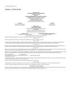 Fillable Online Section 1: 10-K - Corporate Overview Fax Email Print - pdfFiller