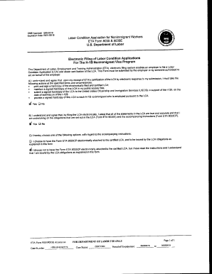 Fillable Online Deloitte Resources Fax Email Print - pdfFiller