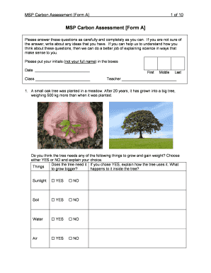 Fillable Online MSP Carbon Assessment Form A Fax Email Print - pdfFiller