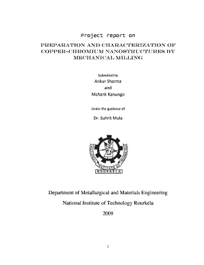 supporting ination - St. Johns HospitalLimerick Doc Template | pdfFiller