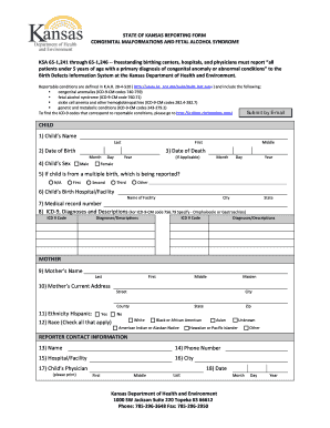 Fillable Online kdheks Birth Defects Reporting Form - Kansas Department ...