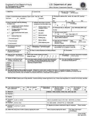 Fillable Online Indicate where injury occurred Fax Email Print - pdfFiller