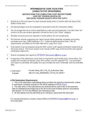 Fillable Online Instructions for completing ICF DD H / N Cost Report ...