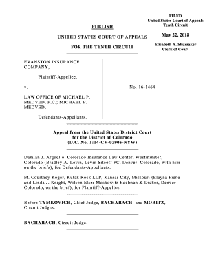 Appellate Brief Template - Fill Online, Printable, Fillable, Blank ...