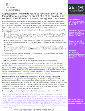 Fillable Online form SET(M) Fax Email Print - pdfFiller