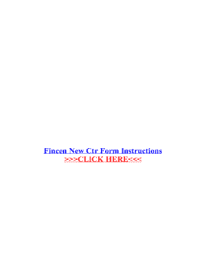 Fillable Online Fincen New Ctr Form Instructions - WordPress.com Fax ...
