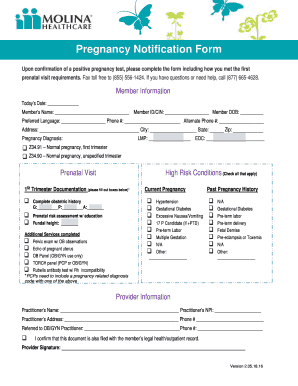 Fillable Online Upon confirmation of a positive pregnancy test, please ...