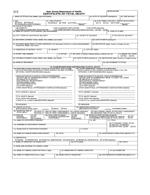 Fillable Online reg-26, FETAL DEATH CERTIFICATE Fax Email Print - pdfFiller