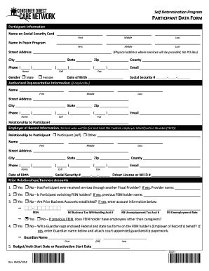 Fillable Online Self Determination Program P DATA FORM Fax Email Print ...