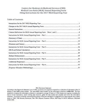 Fillable Online MLR Annual Reporting Form Instructions Fax Email Print ...