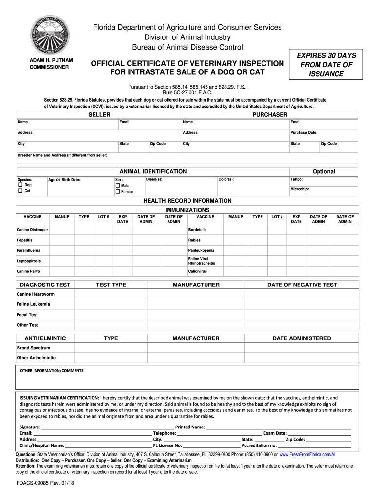 Pet Health Certificate Template Seven Things You Need To For Veterinary 