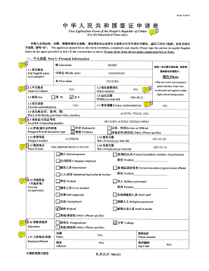 Fillable Online Forms for Downloading - Embassy of the People's ...