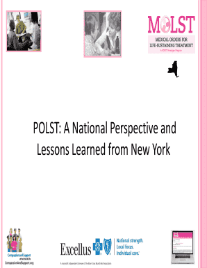 Fillable Online POLST: A National Perspective and Lessons Learned from ...