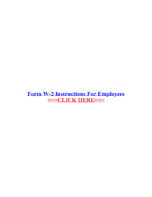 Fillable Online Form W-2 Instructions For Employees - WordPress.com Fax ...
